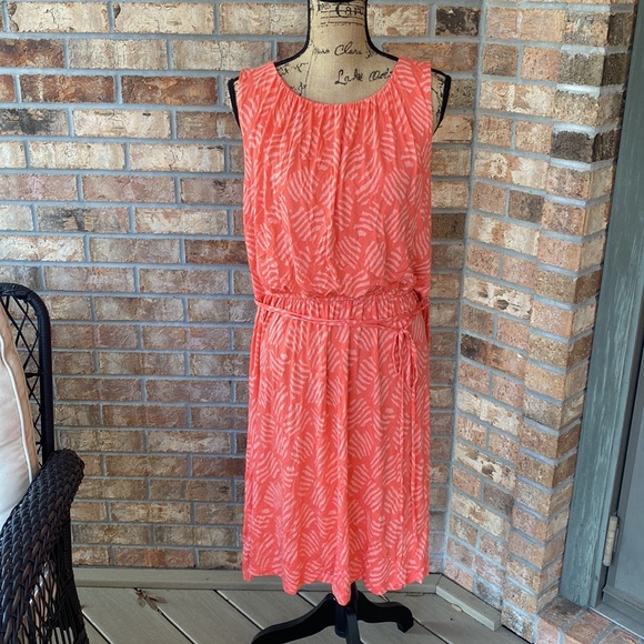 LOFT | Dresses | Loft Dress | Poshmark